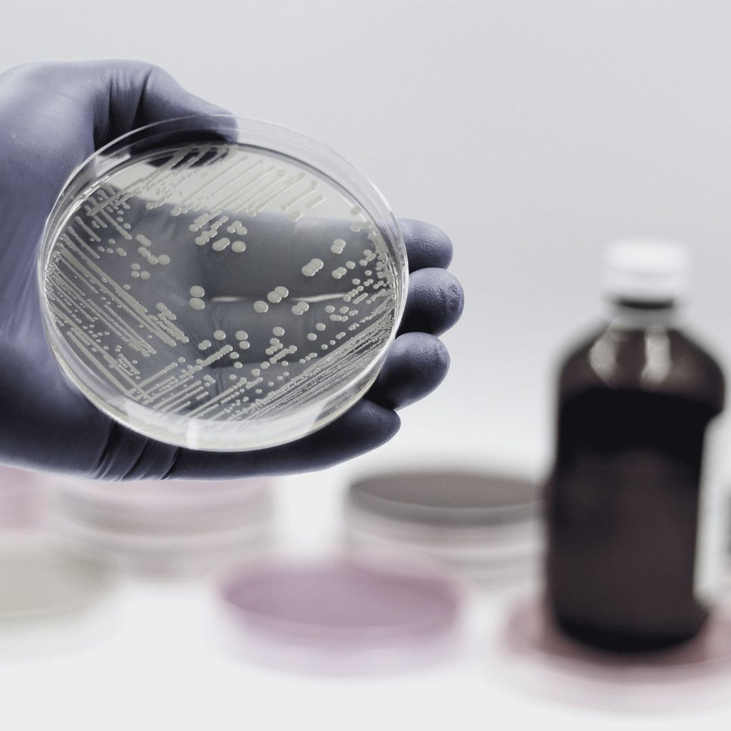 Innovative Diagnostics and Products for a Healthier Tomorrow
